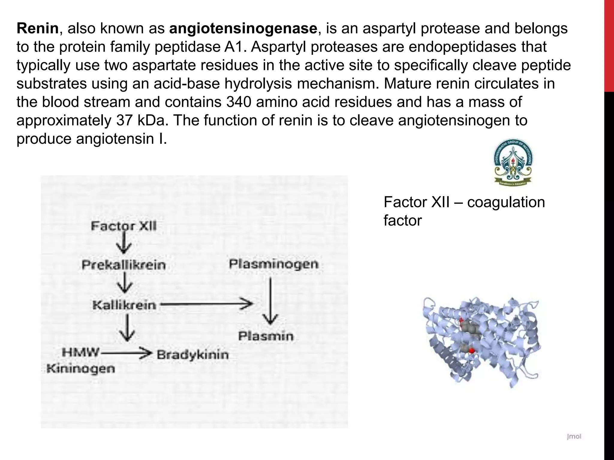 Hypertension PPT.pptx