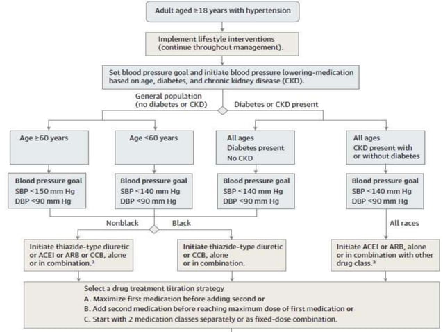 Hypertension latest guidelines seminar(2017 ACC/AHA guidelines) | PPT