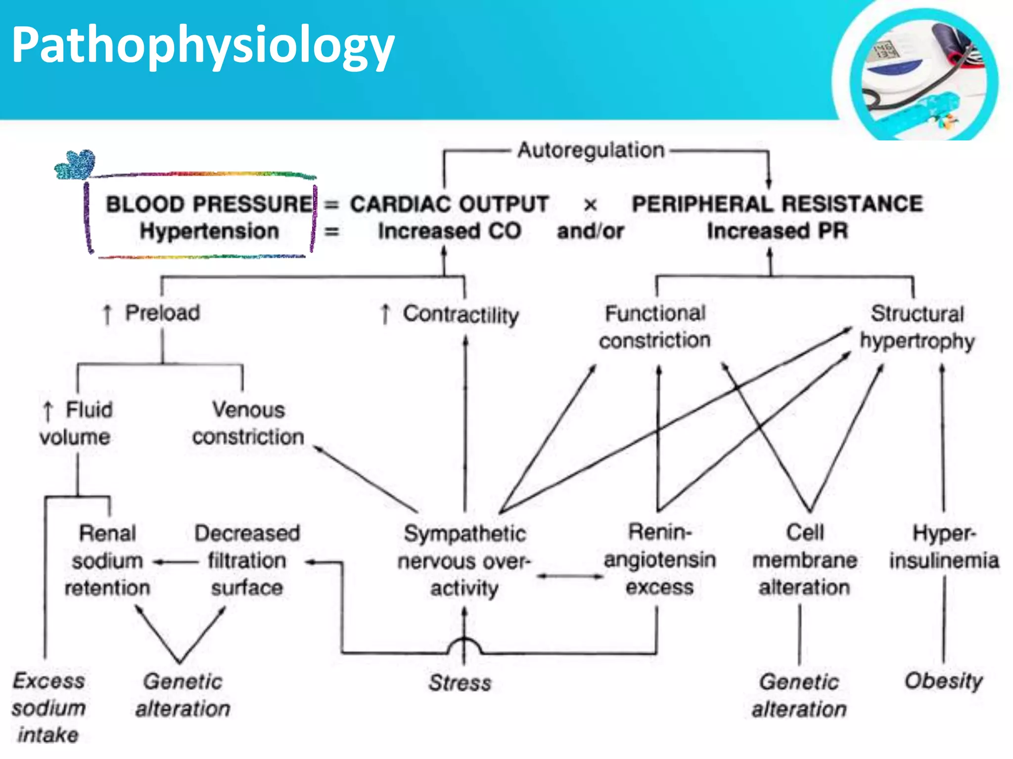 Hypertension | PPTX