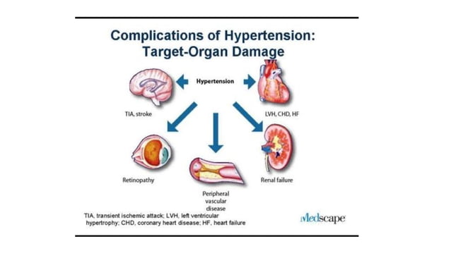 Hypertension & target organ damage ug.pptx | Heart and Cardiovascular ...