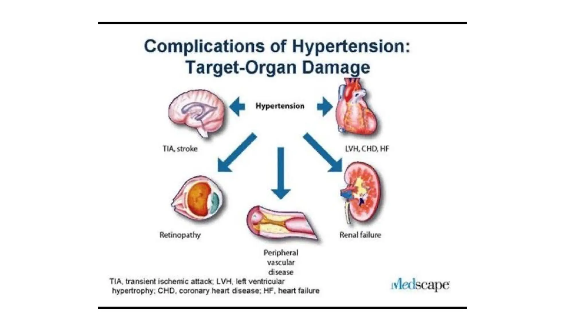 Hypertension & target organ damage ug.pptx