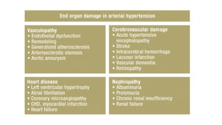 Hypertension & target organ damage ug.pptx