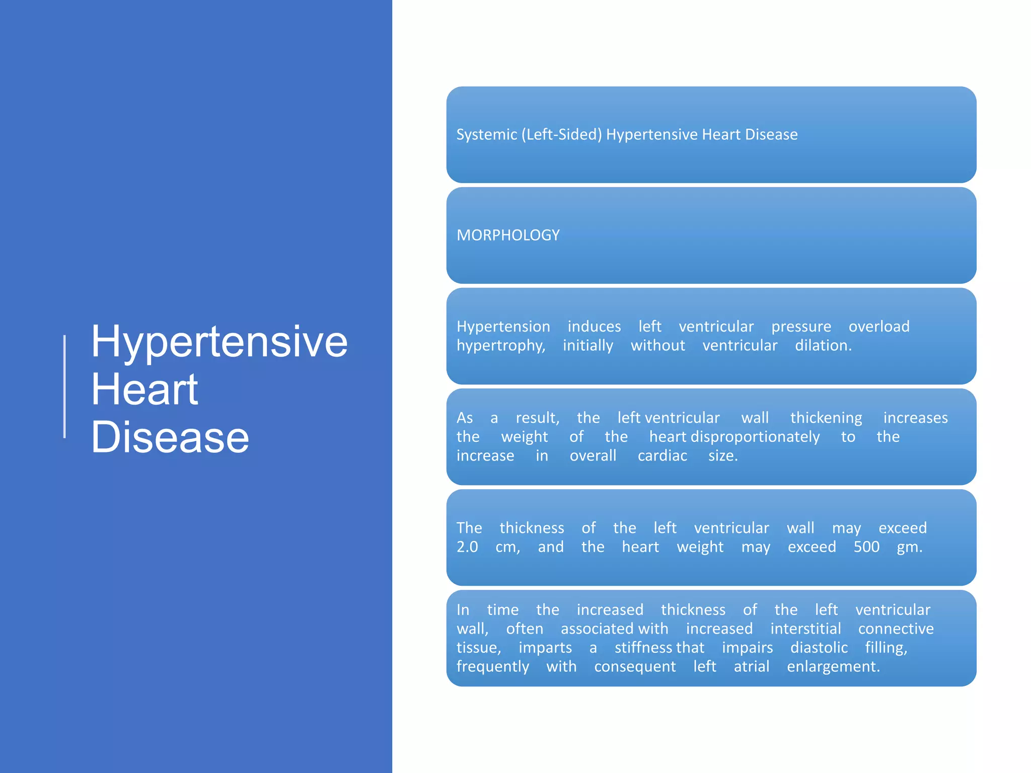Basic science and forensic pathology aspects of Hypertensive cardiovascular disease | PPTX ...