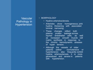 Basic science and forensic pathology aspects of Hypertensive ...
