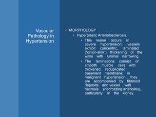 Basic science and forensic pathology aspects of Hypertensive ...