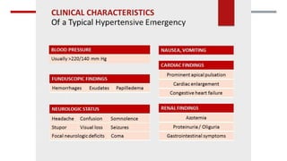 "Hypertensive Emergencies: Urgent Management and Treatment Protocols ...