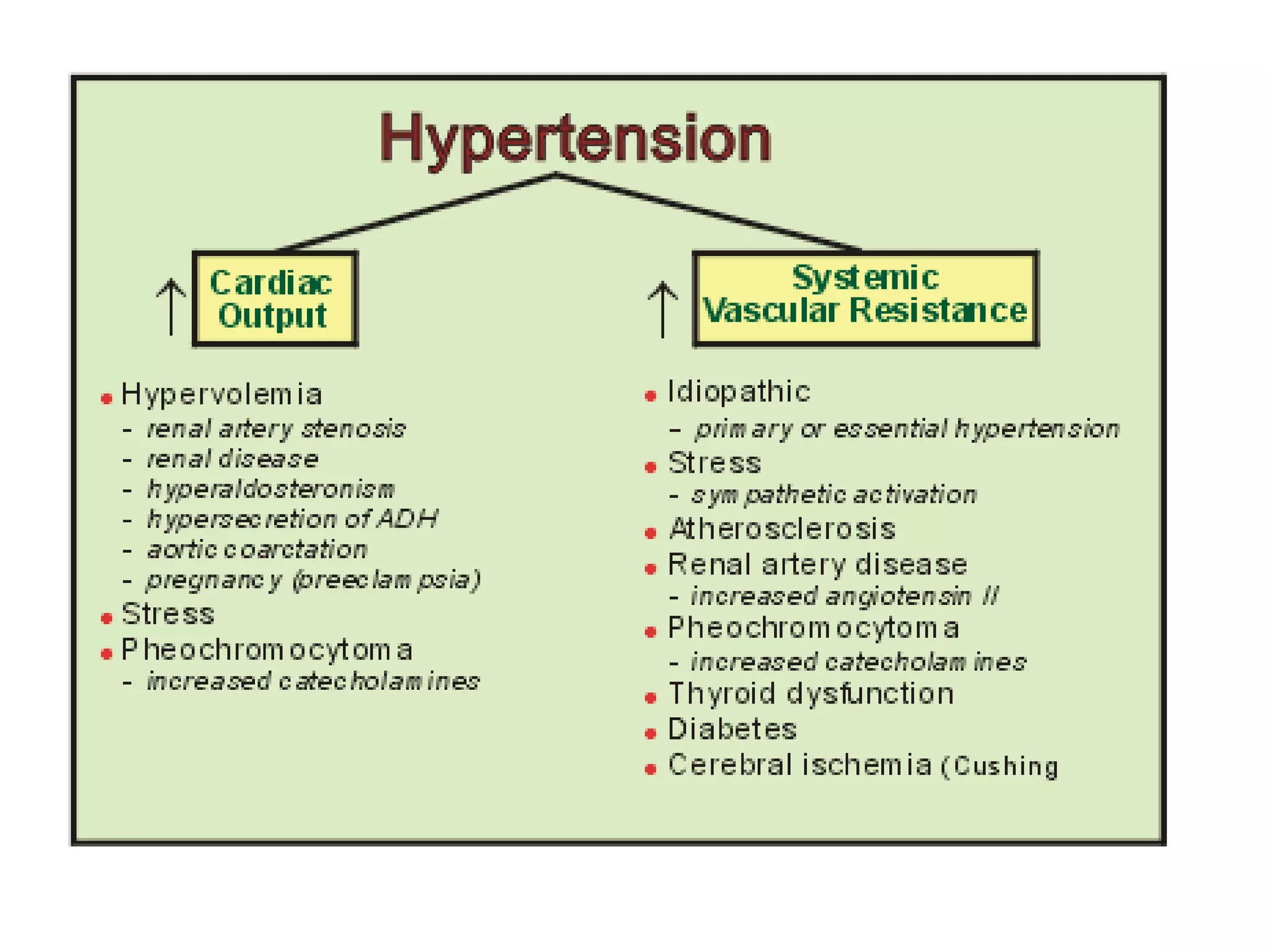 Hypertensive heart disease (hhd) | PPTX