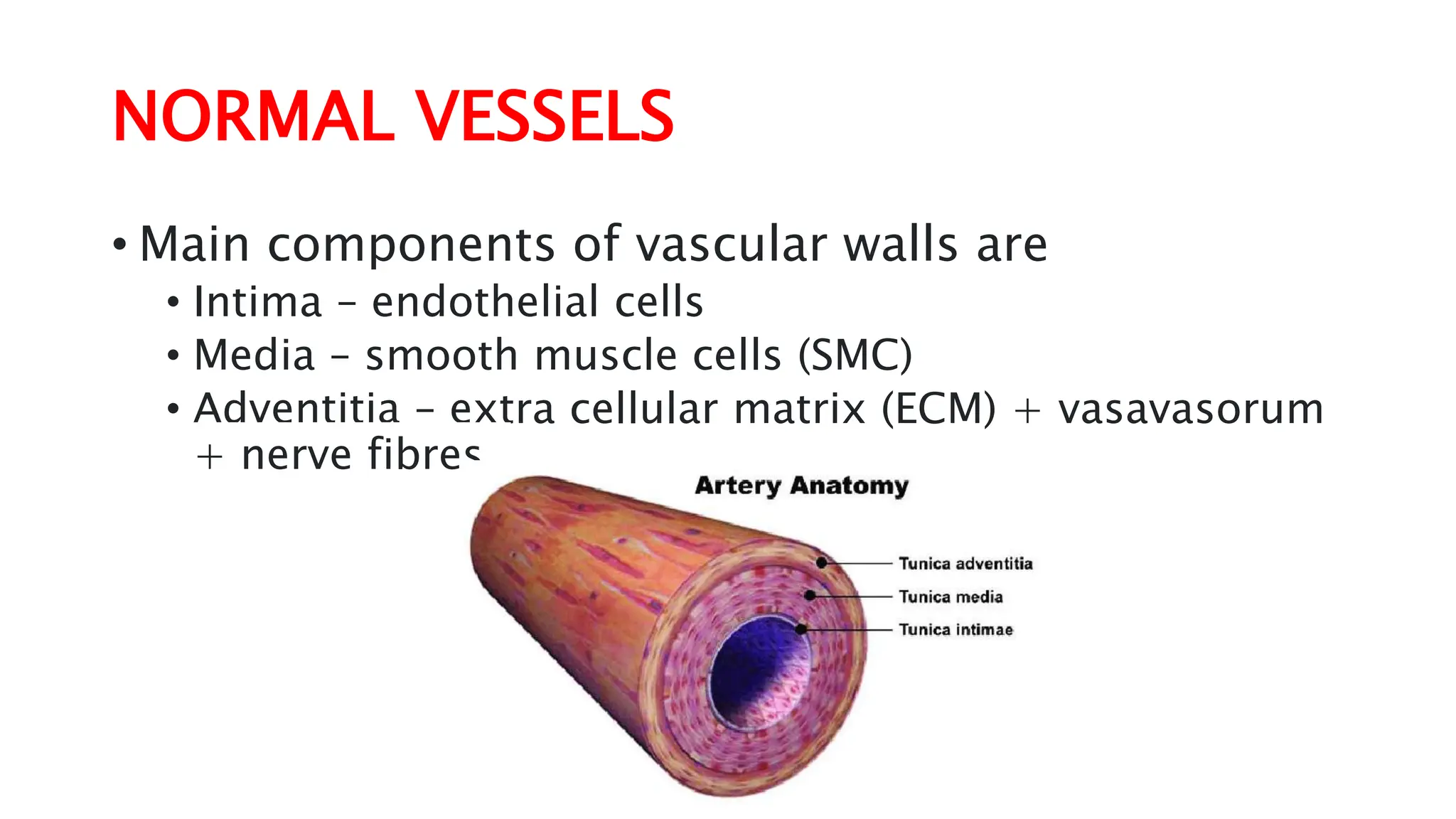 Hypertensive and vascular diseases .pptx