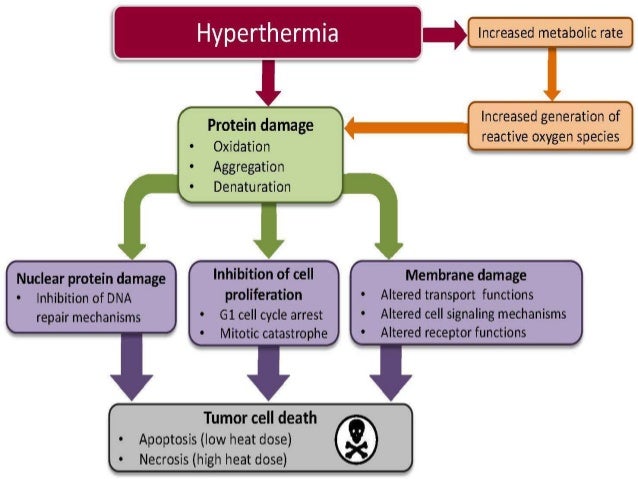 Hyperthermia