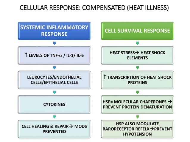 Hyperthermia and heat stroke | PPTX | Endocrine and Metabolic Diseases ...