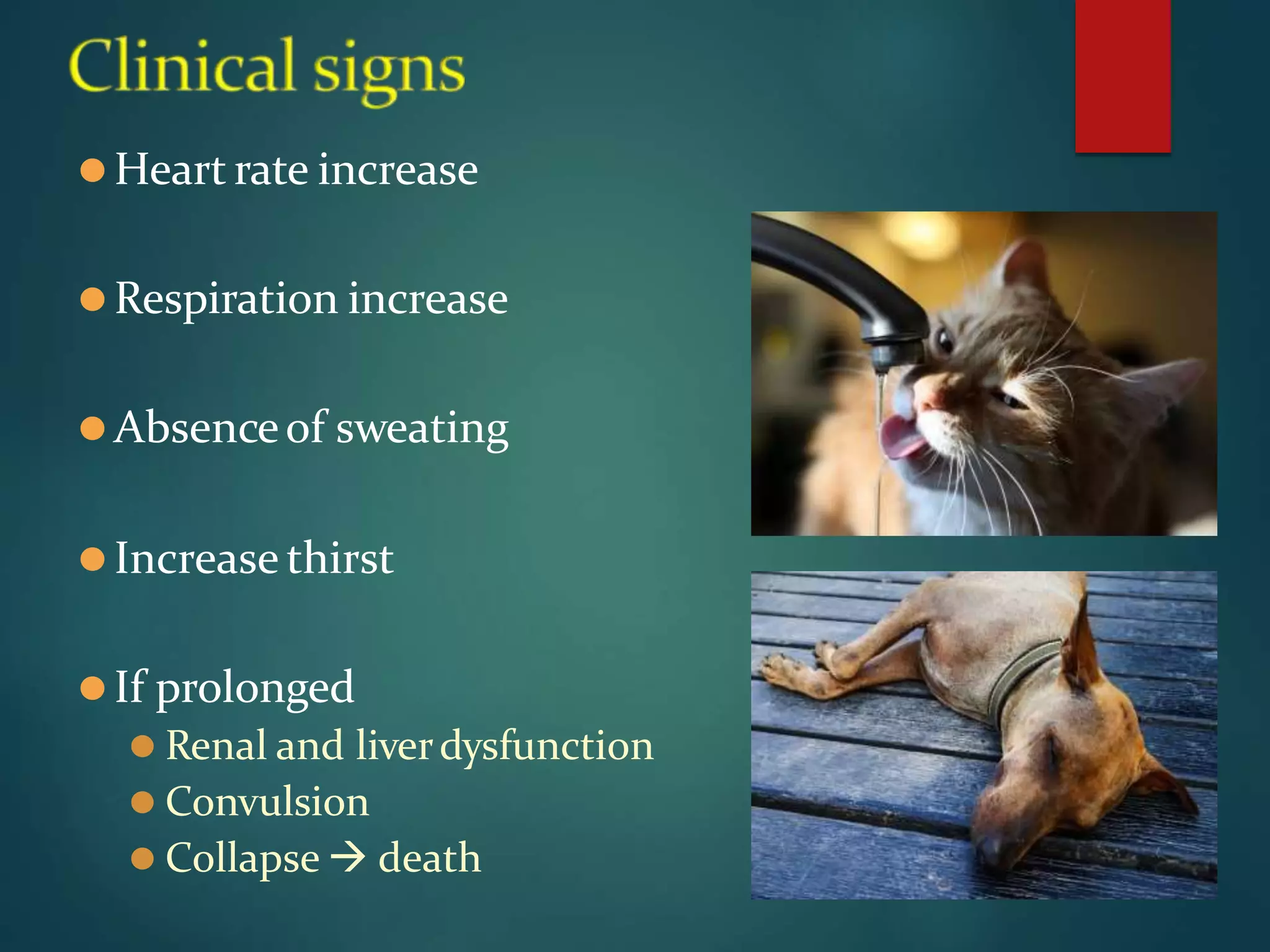 Hyperthermia and Hypothermia.pptx