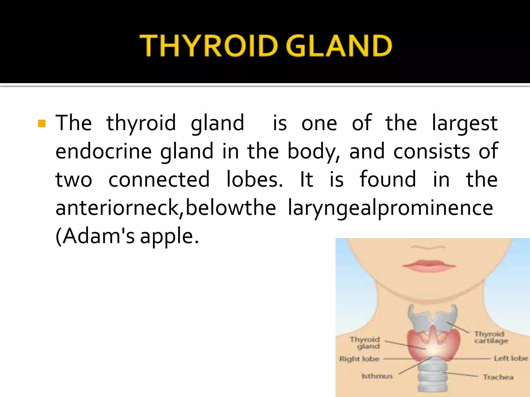 Hyperthyroidism | PPTX