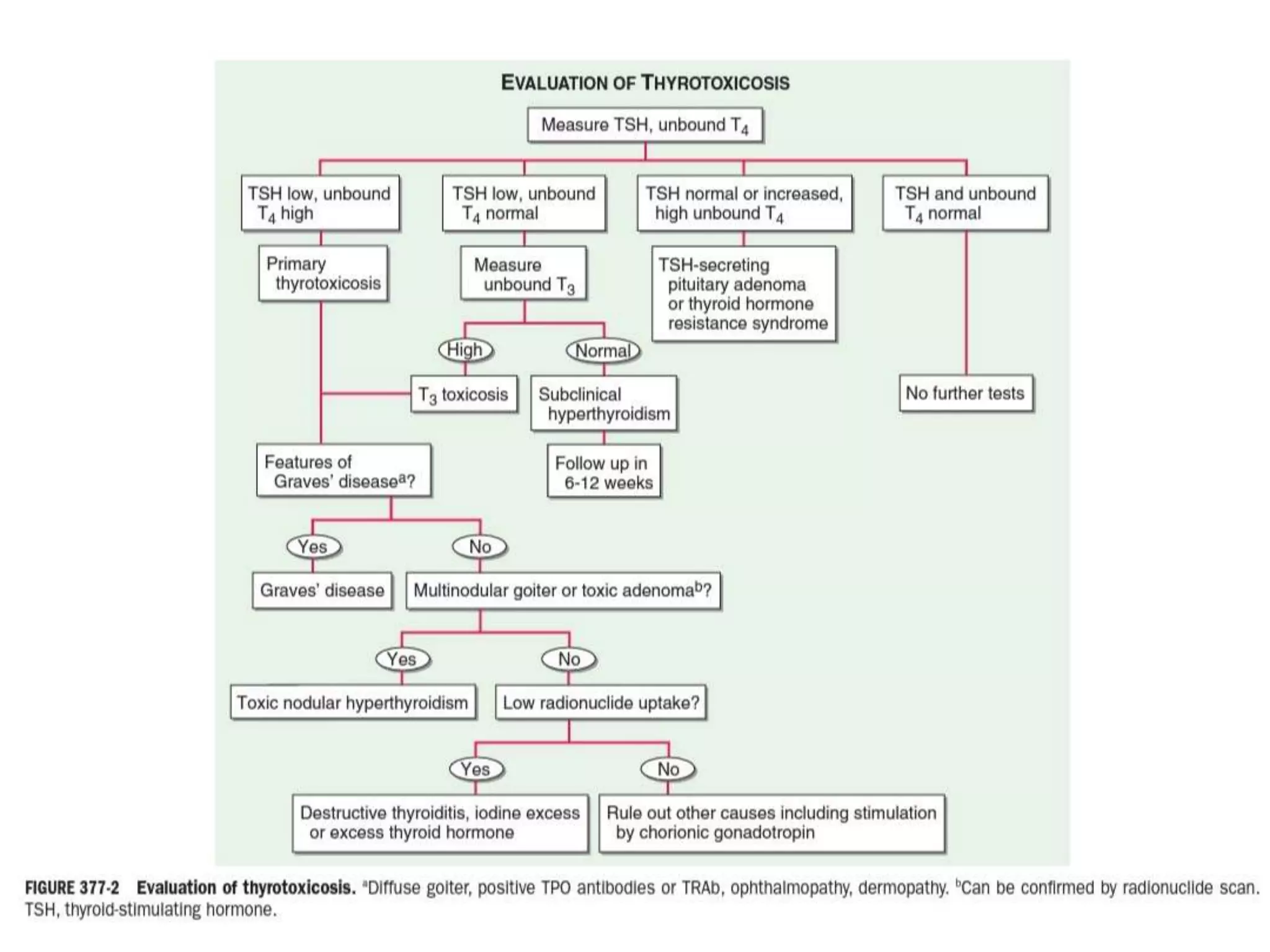 Hyperthyroidism 2022 Pptx Thyroid Disorders Endocrine And Metabolic