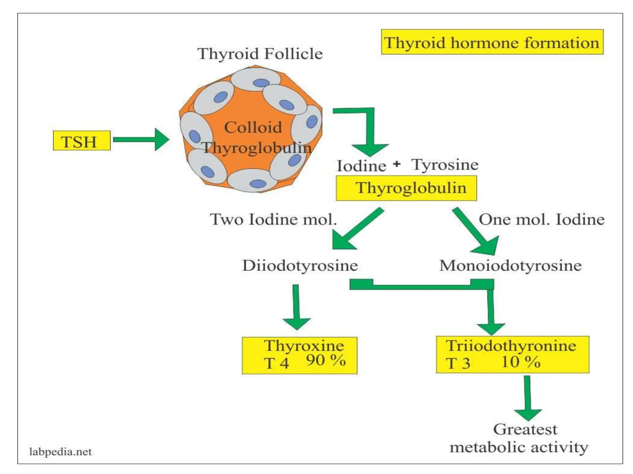 HYPERTHYROIDISM,clinical features and its management | PPTX