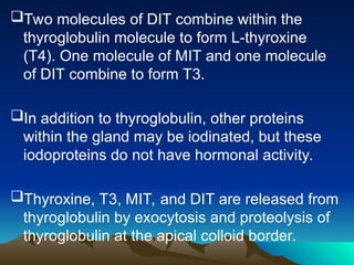 HYPERTHYROIDISM-lecture.pptfjffjjfjfjfjfj | PPT