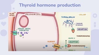 hyperthyroidism .pptx