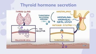hyperthyroidism .pptx