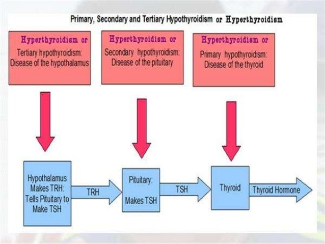 HYPERTHYROIDISM PART-1 BY DR BASHIR ASSOCIATE PROFESSOR MEDICINE SOPO…