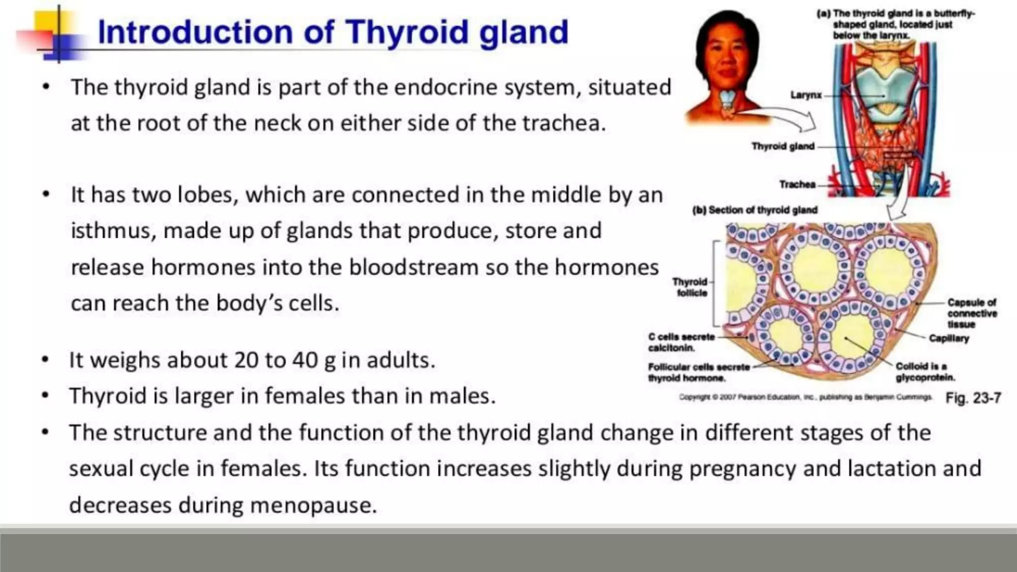Hyperthyroidism &Hypothyroidism.pdf