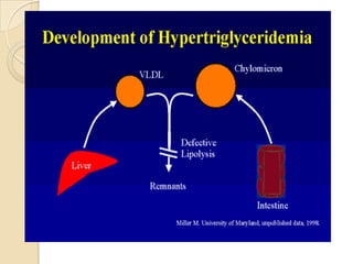Hypertriglyceridemia | PPTX