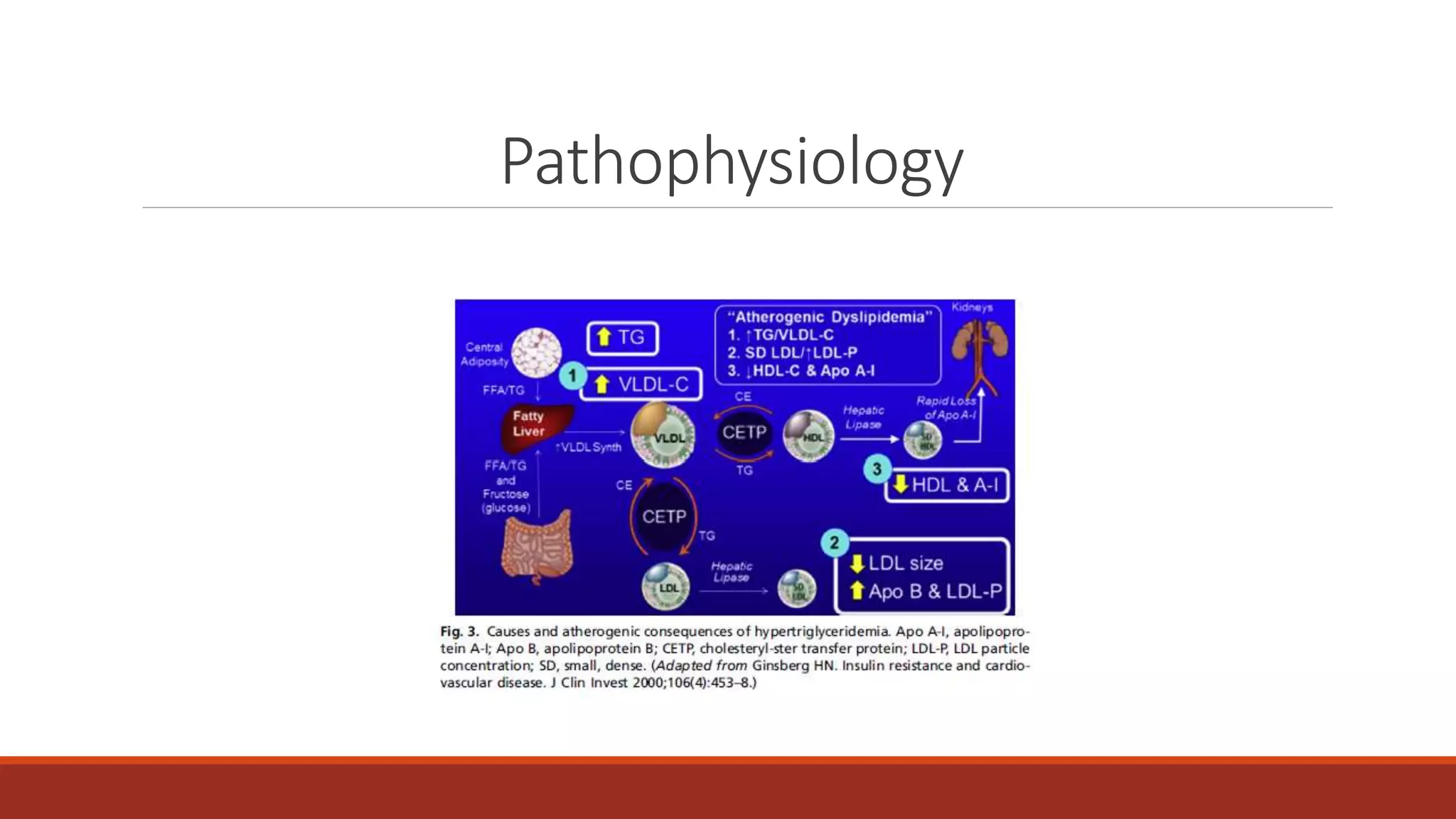 Hypertriglyceridemia | PPTX