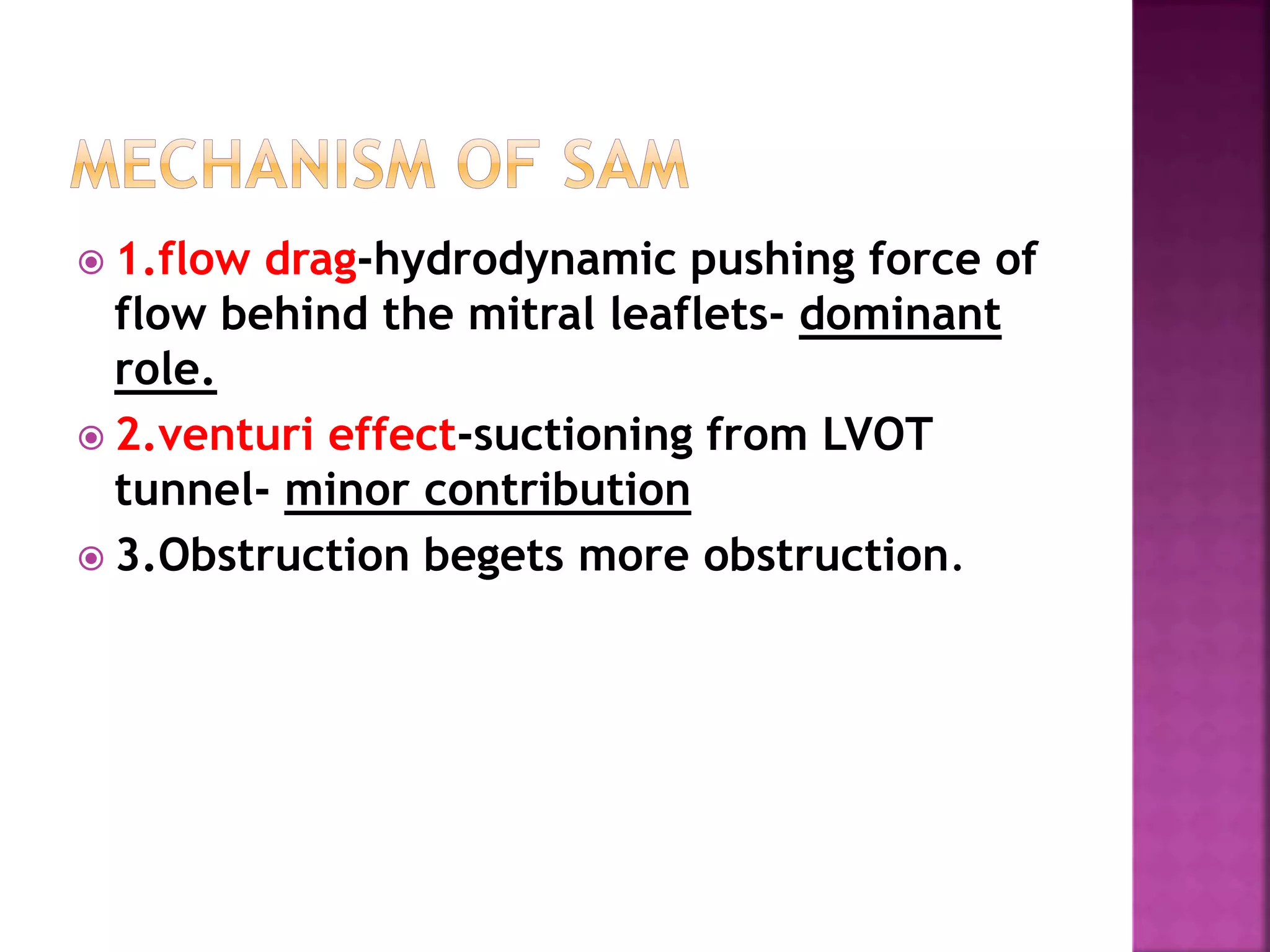 Hypertrophic cardiomyopathy (HCM) | PPTX