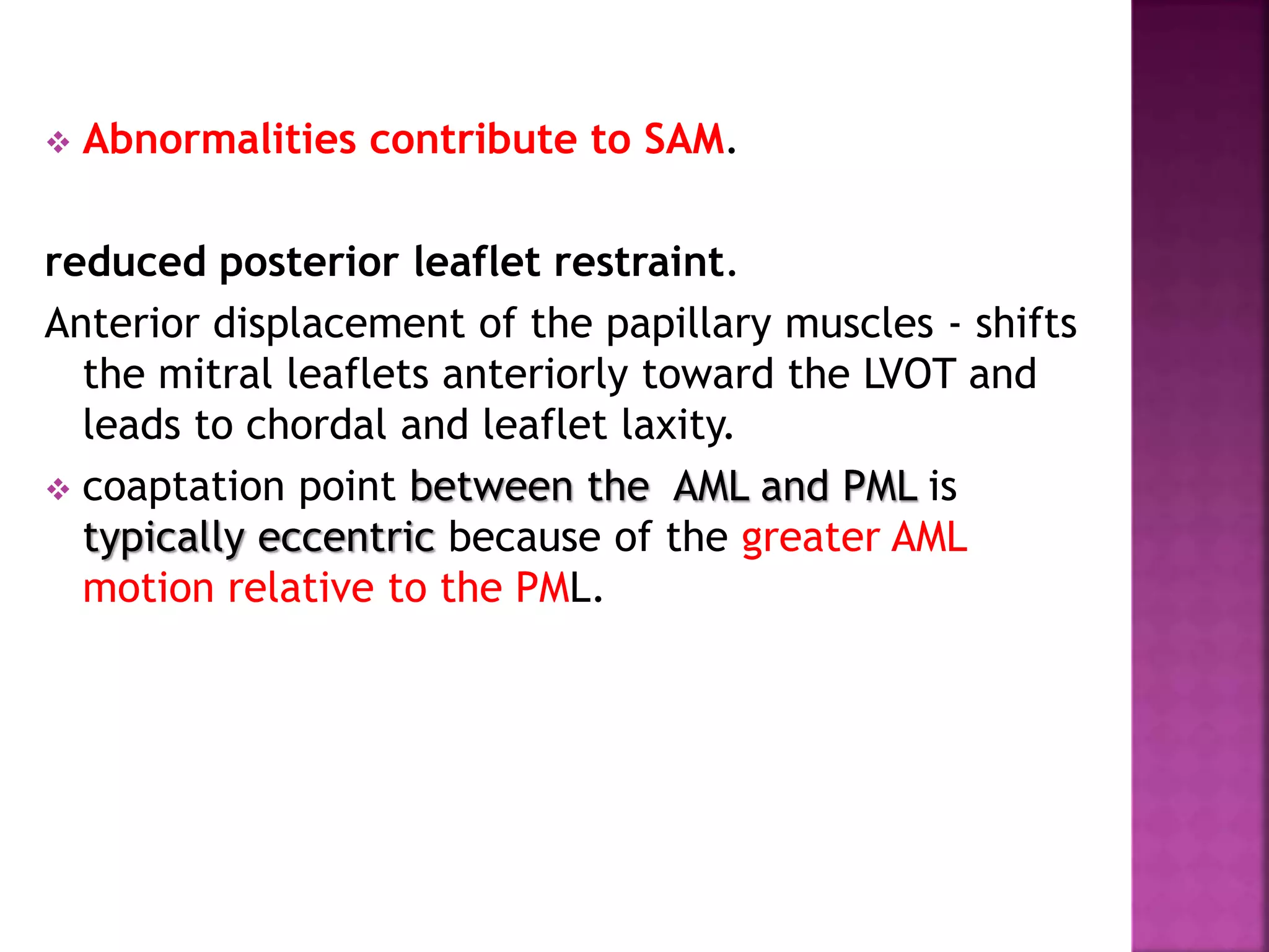 Hypertrophic cardiomyopathy (HCM) | PPTX