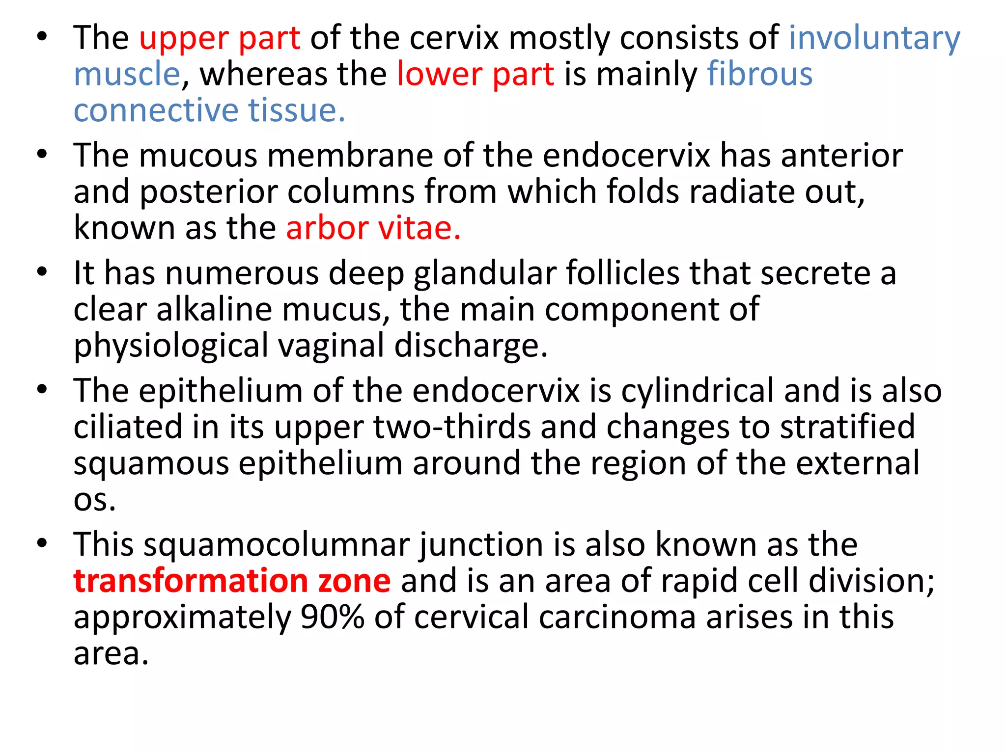 Hypertrophic elongated cervix (elongation of cervix) | PPTX
