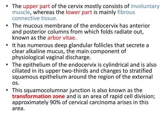 Hypertrophic elongated cervix (elongation of cervix) | PPTX | Pregnancy ...