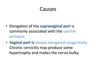 Hypertrophic elongated cervix (elongation of cervix) | PPTX