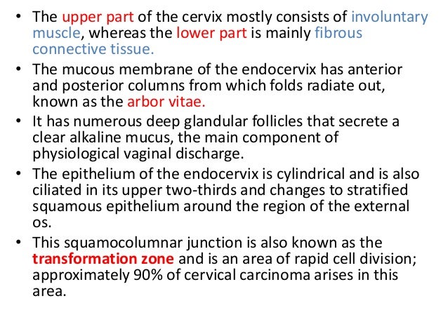 Retroverted Uterus Nhs