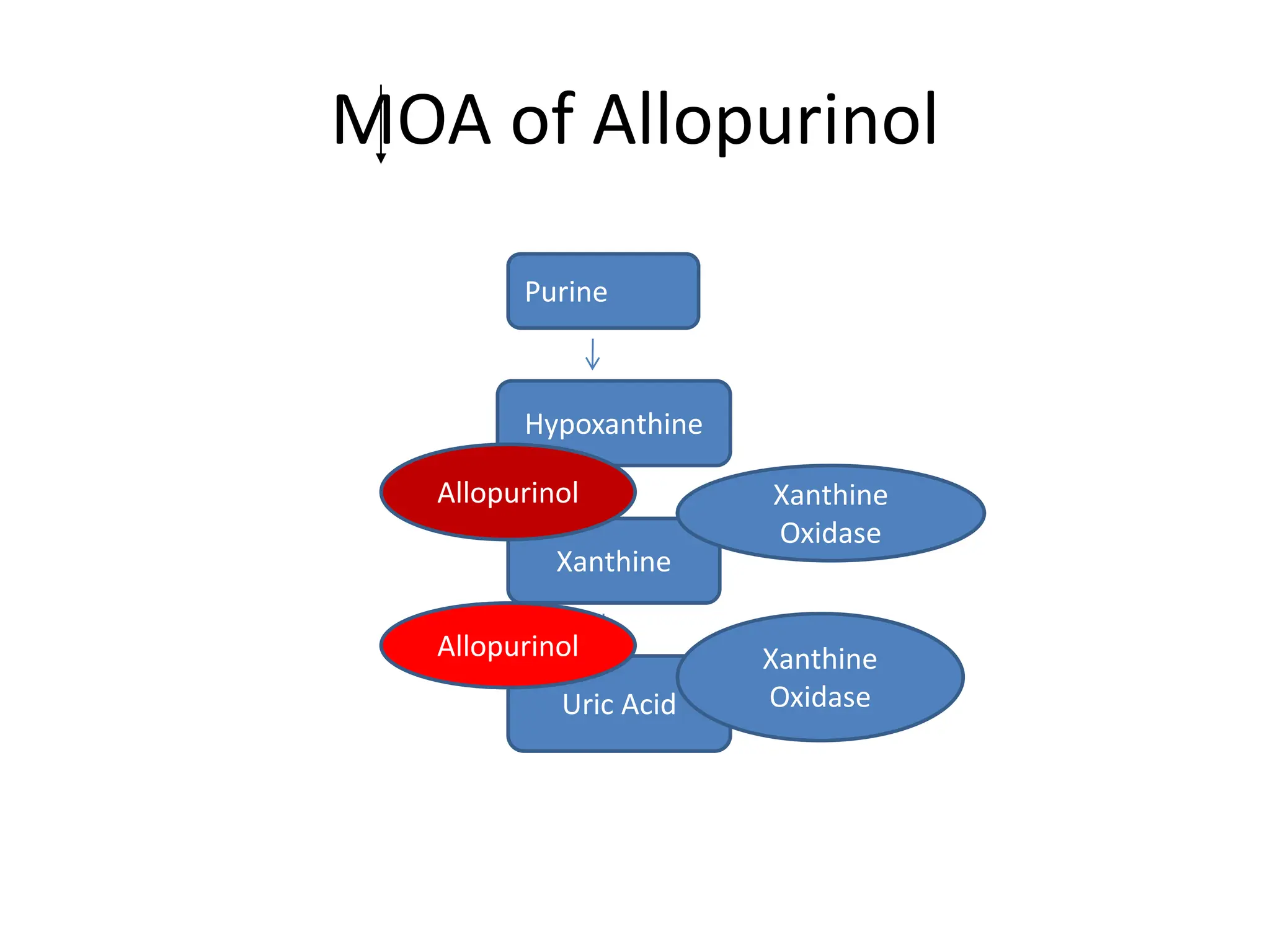 HYPERURICAEMIA + all related brand training material.pptx