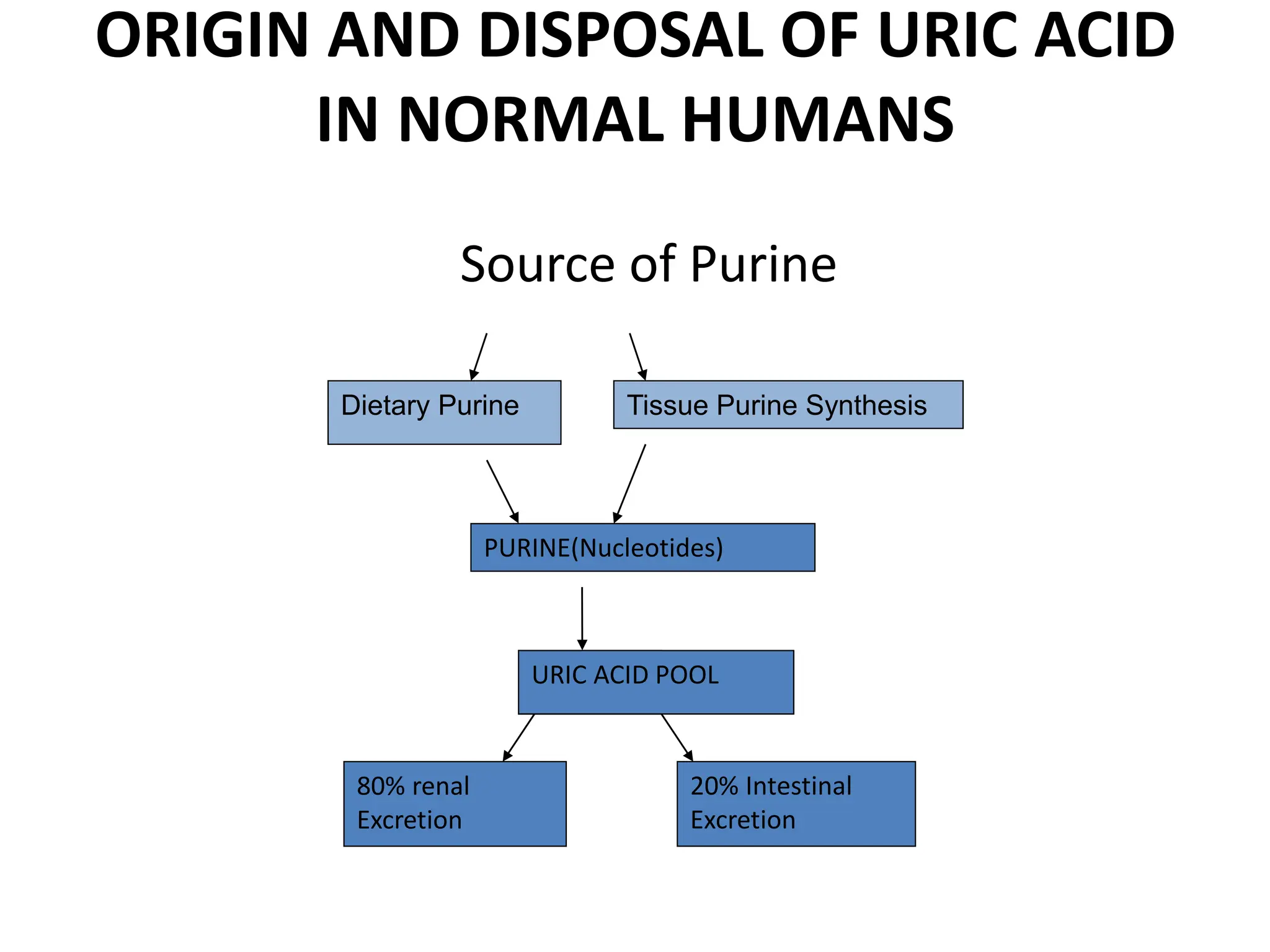 HYPERURICAEMIA + all related brand training material.pptx
