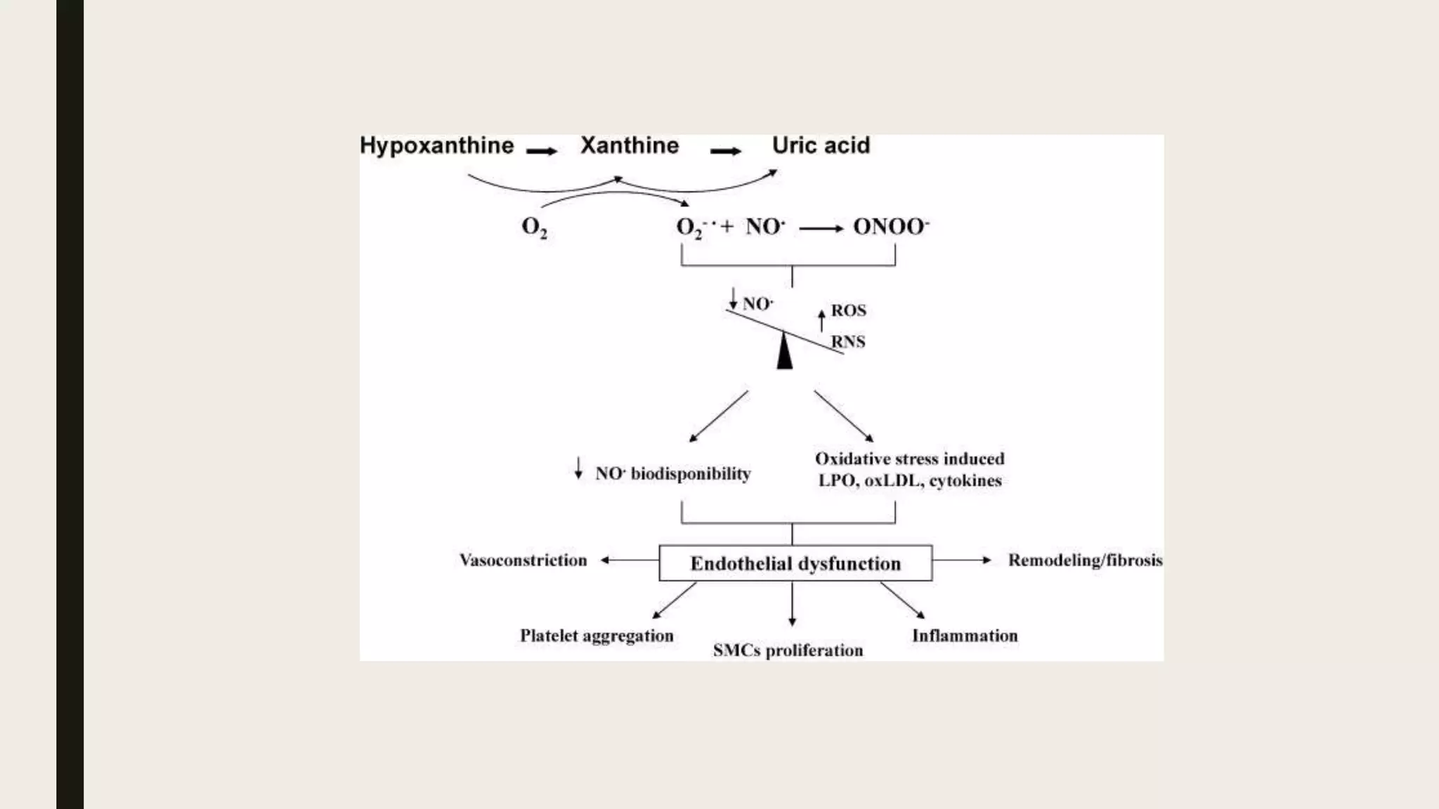 Hyperuricemia ; Focus on Treatment | PPTX