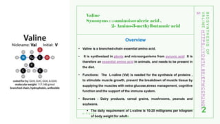 Hypervalinemia amino acids metabolism disorder | PDF