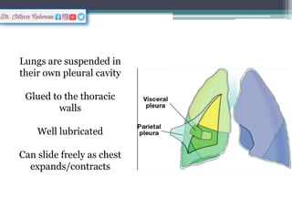 Hyperventilation and control of respiration.pptx