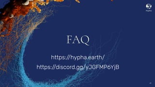 Joachim Stroh: Hypha DAO, the 3rd generation of DAOs | PDF