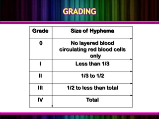 Hyphema, Basic Information | PPT