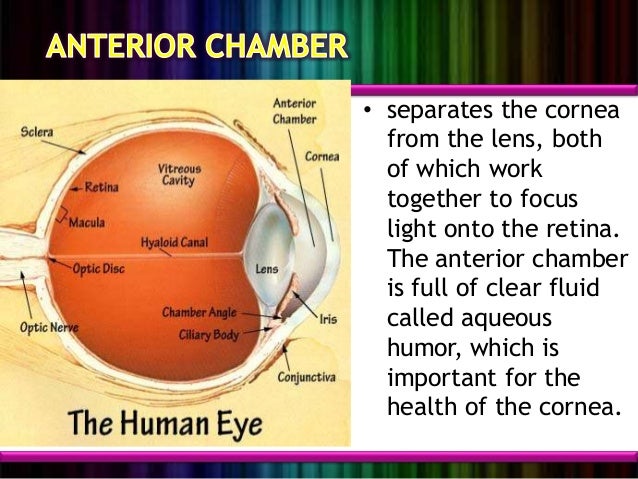 Hyphema, Basic Information