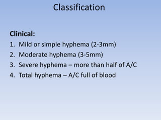 Hyphema | PDF