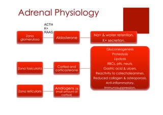 Hypoadrenalism feb 2015 | PDF