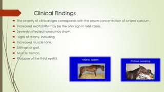 Hypocalcemic tetany in animals disease treatment | PDF