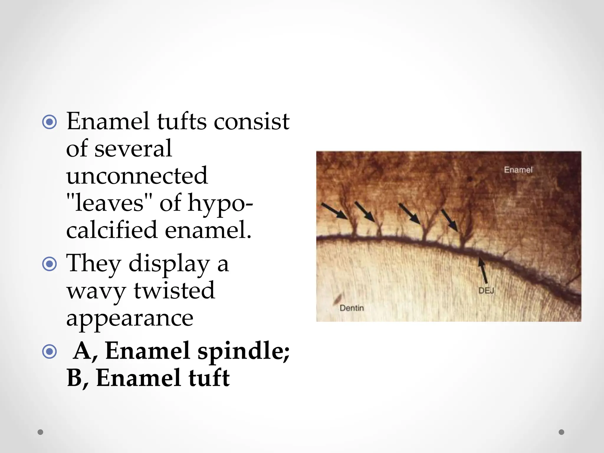 HYPOCALCIFIED STRUTURES OF ENAMEL.pptx