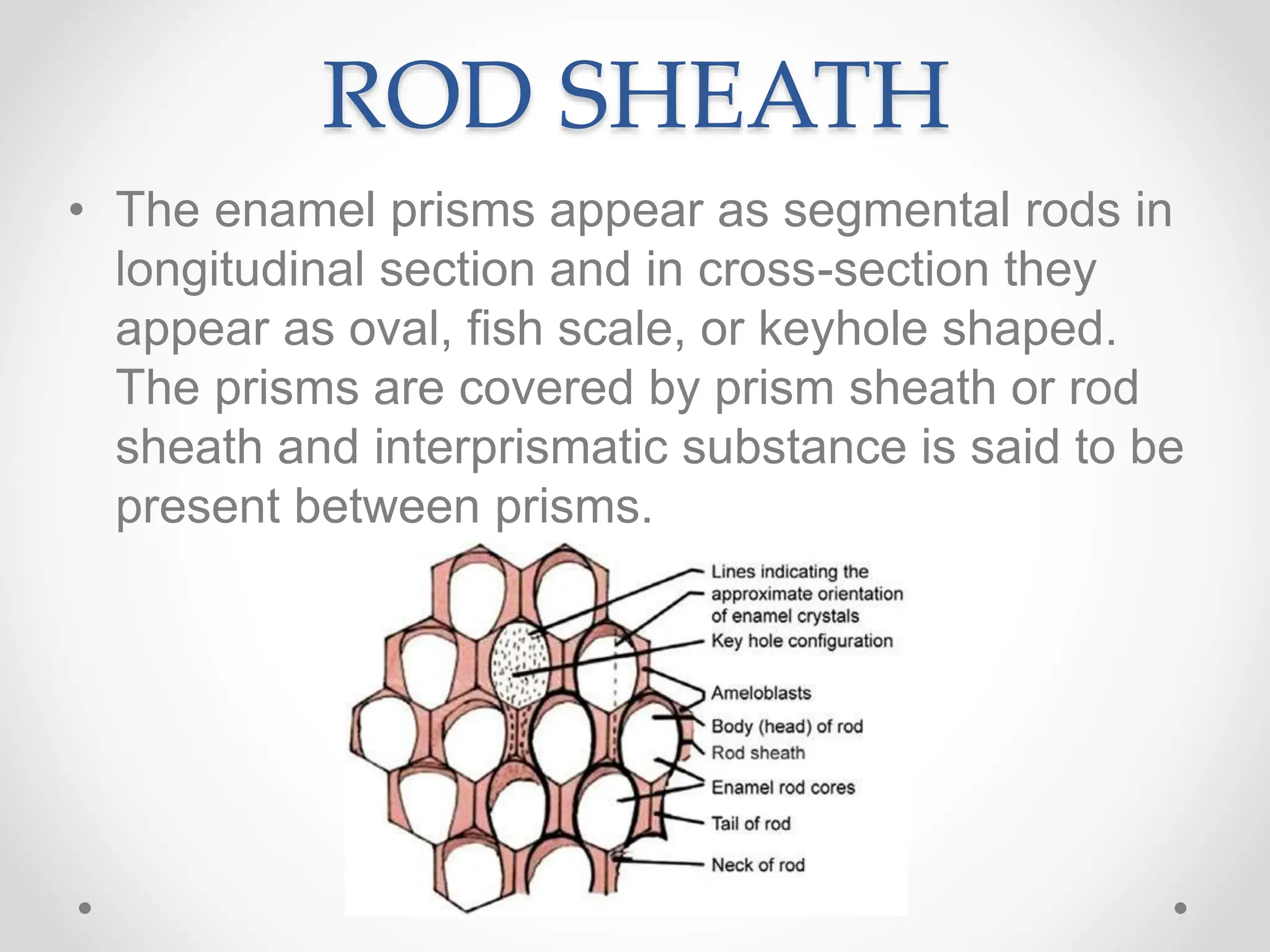 HYPOCALCIFIED STRUTURES OF ENAMEL.pptx