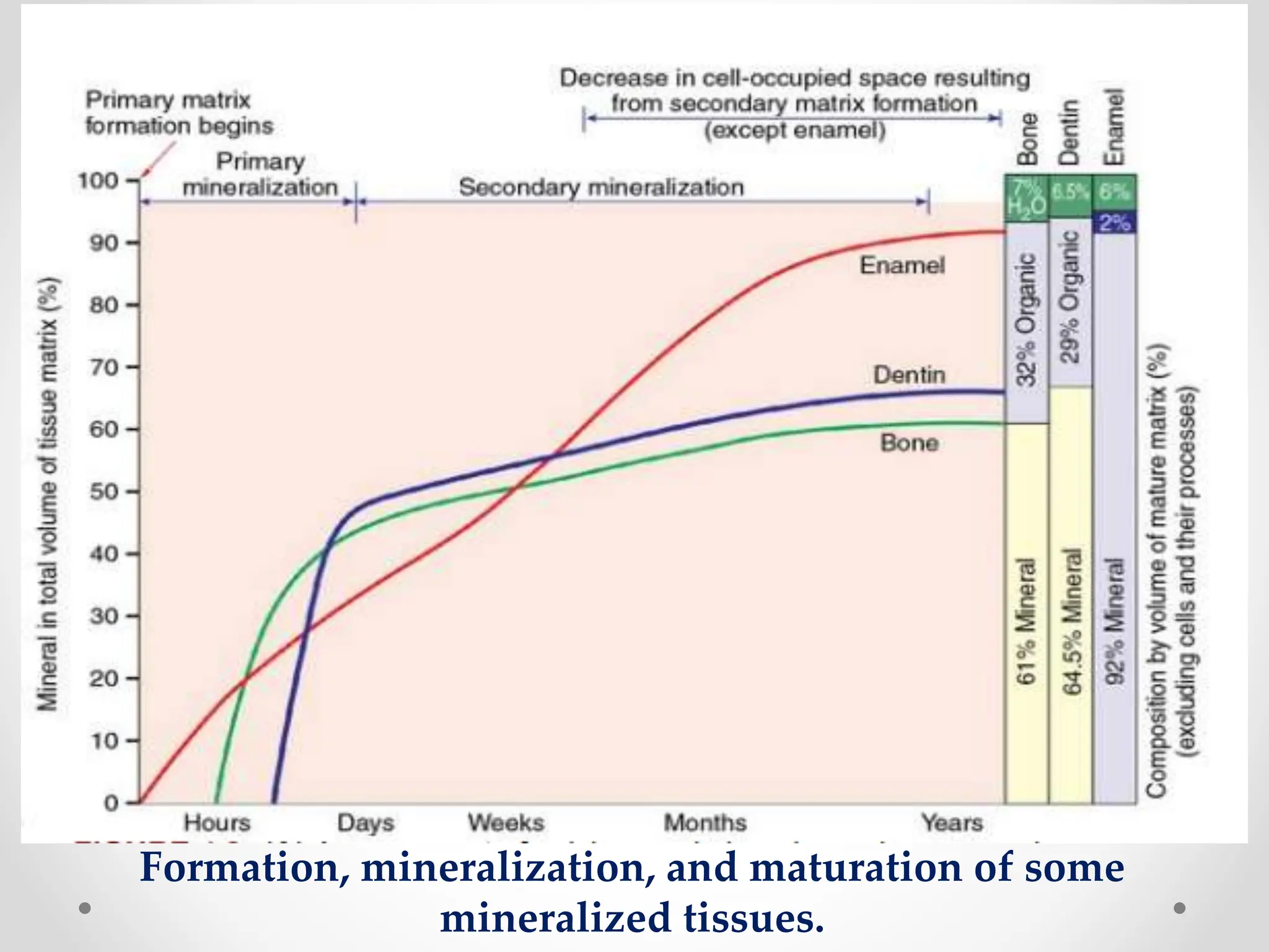 HYPOCALCIFIED STRUTURES OF ENAMEL.pptx