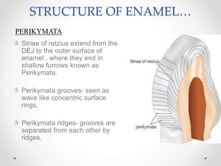 HYPOCALCIFIED STRUTURES OF ENAMEL.pptx