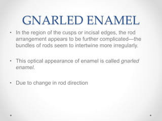 HYPOCALCIFIED STRUTURES OF ENAMEL.pptx