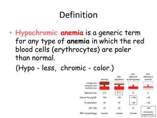 Hypochromic anemia | PPTX