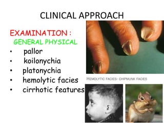 Hypochromic anemia | PPTX