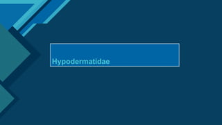 hypodermatidae-230102051523-422732d6.pptx